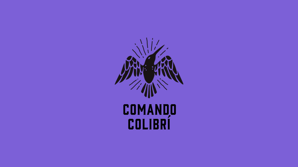 Pronunciamiento. Enero 2019. – Comando Colibrí