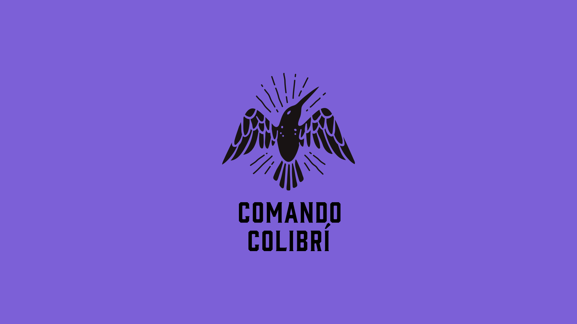 Pronunciamiento. Enero 2019. – Comando Colibrí