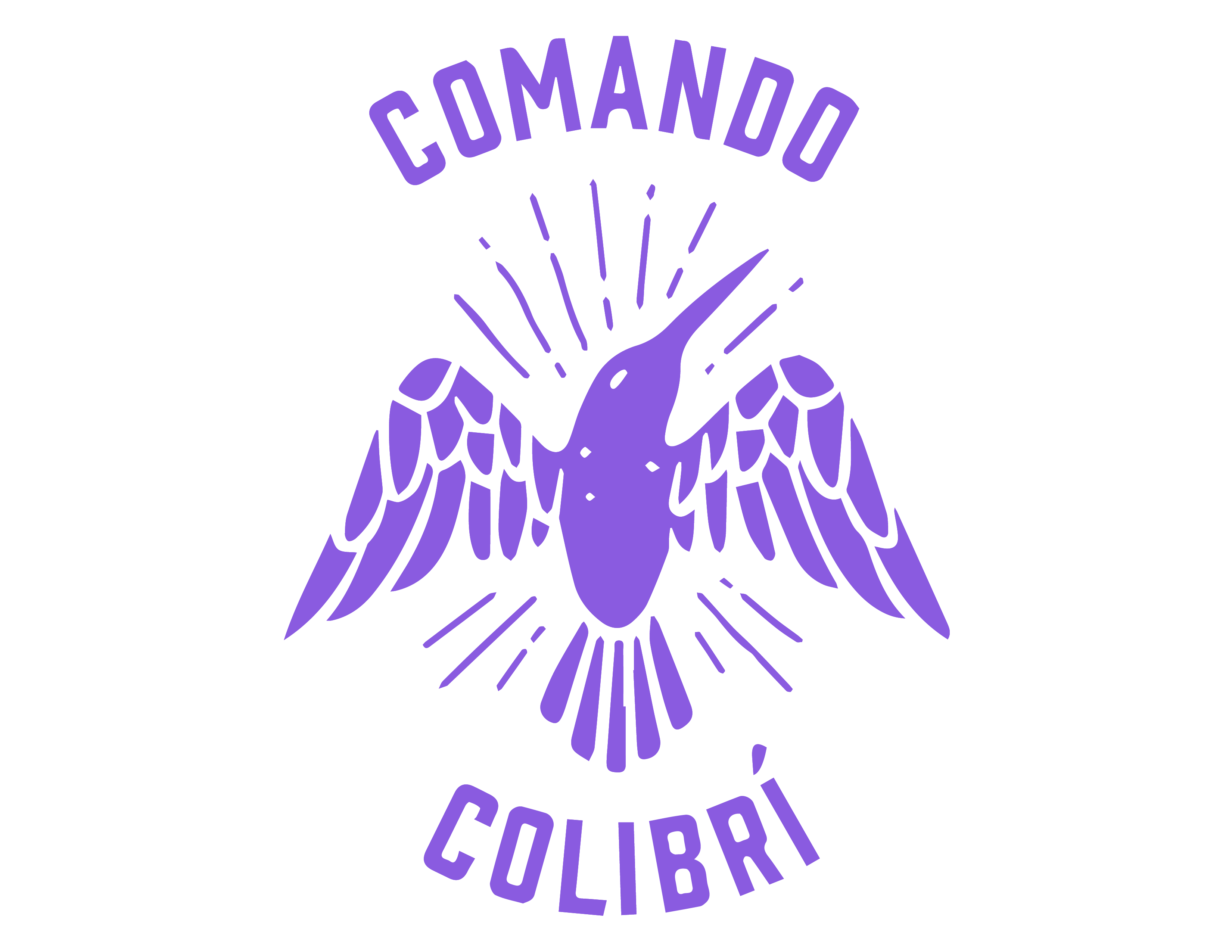 Comando Colibrí – comandocolibri.red