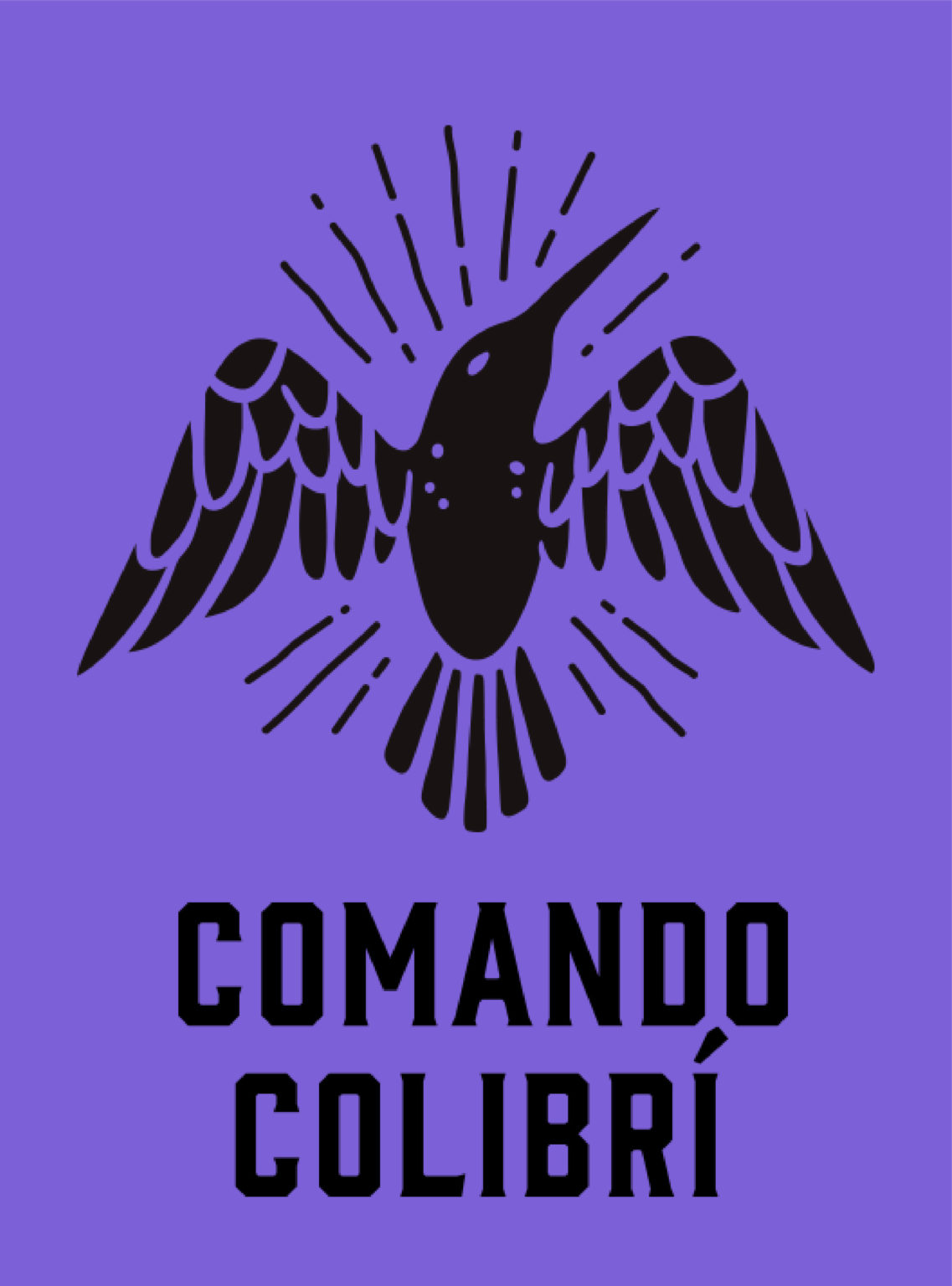 Historia – Comando Colibrí