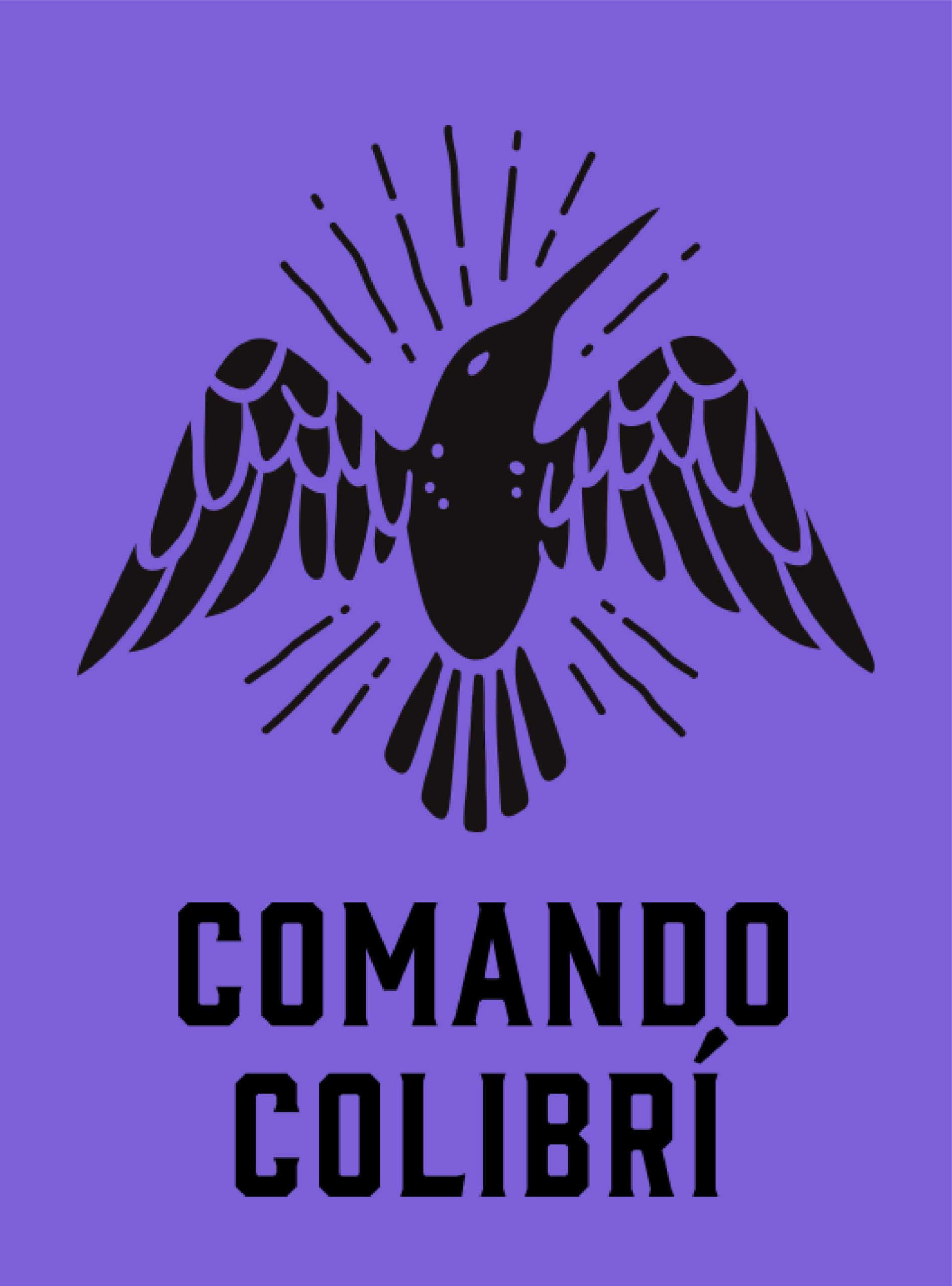 Historia – Comando Colibrí