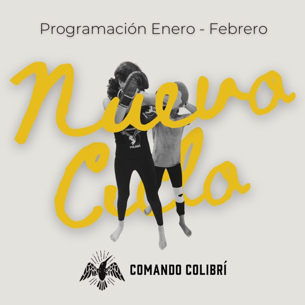 Registro – Talleres febrero 2025 – Comando Colibrí